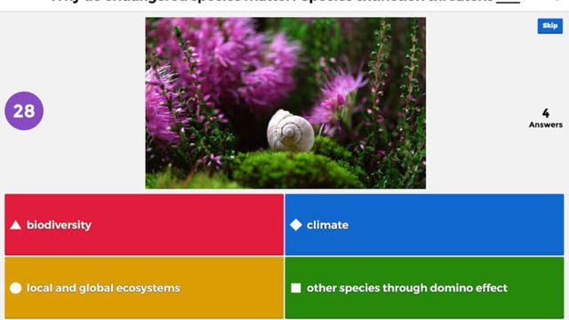 Kahoot! — Web App Game | Browser Craft